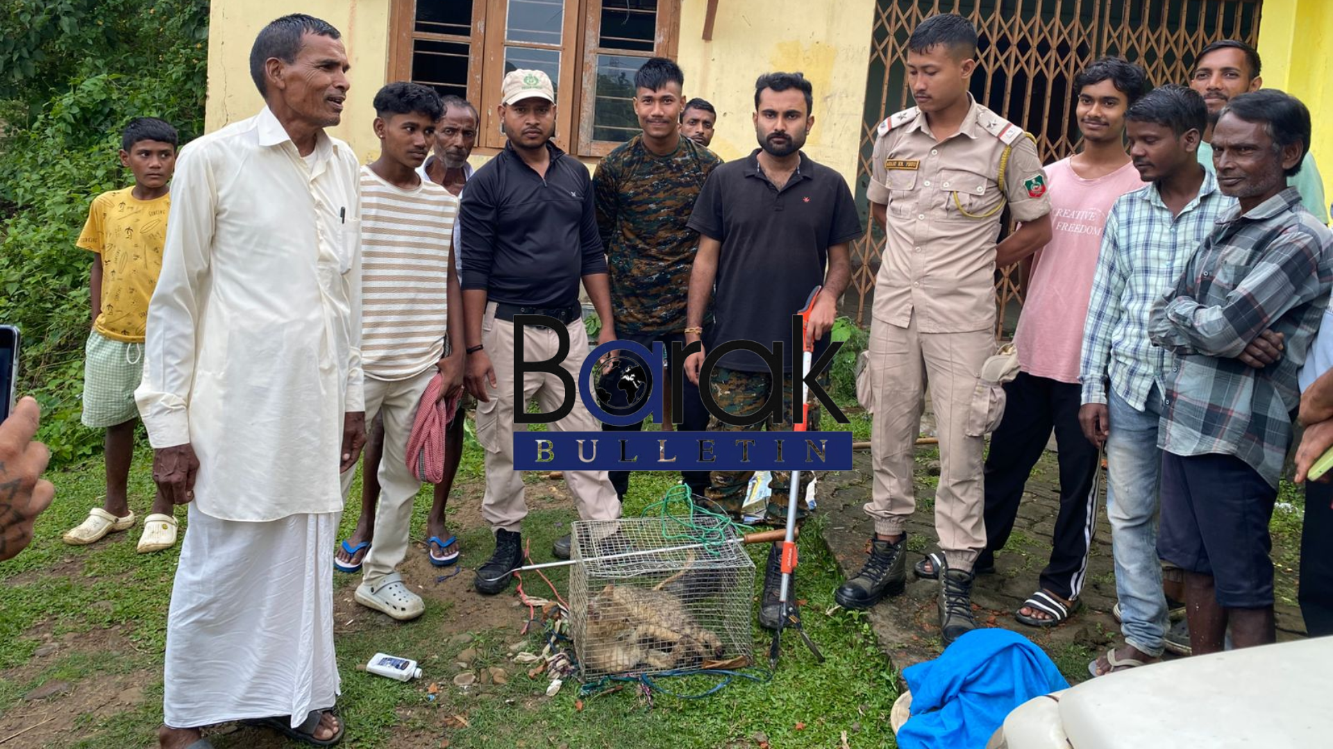 Barak Valley Wildlife Division Rescues Asian Jungle Cat From Well In ...